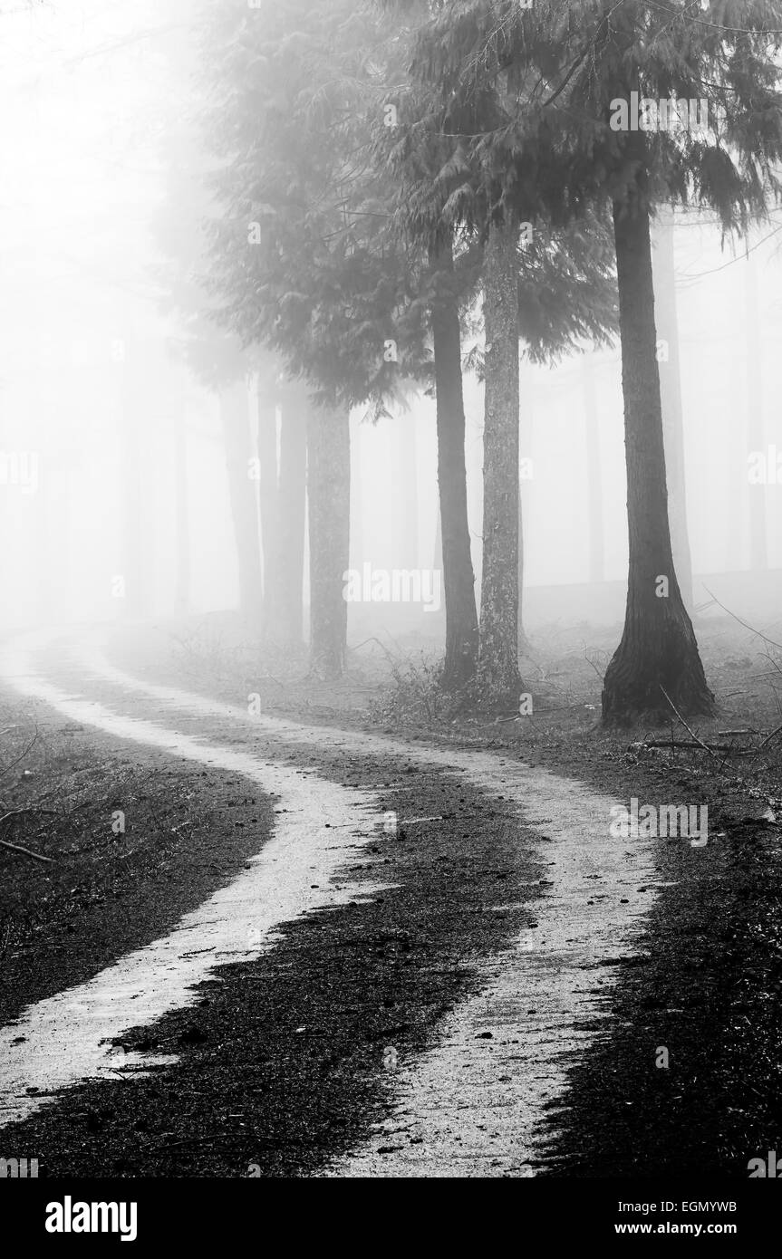 Morning light on way Black and White Stock Photos & Images - Alamy