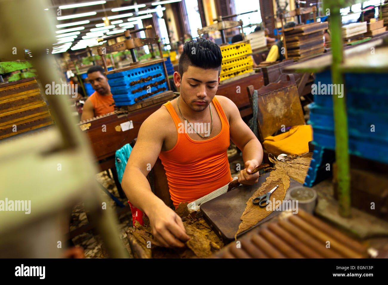 Havana, Cuba. 26th Feb, 2015. A worker rolls cigars at a factory in ...