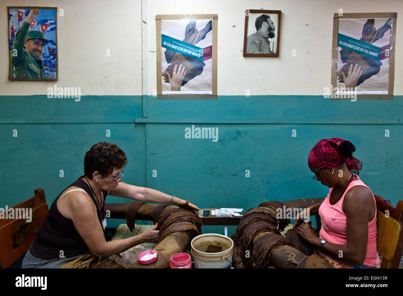 Cuban cigar factory workers hi-res stock photography and images - Alamy