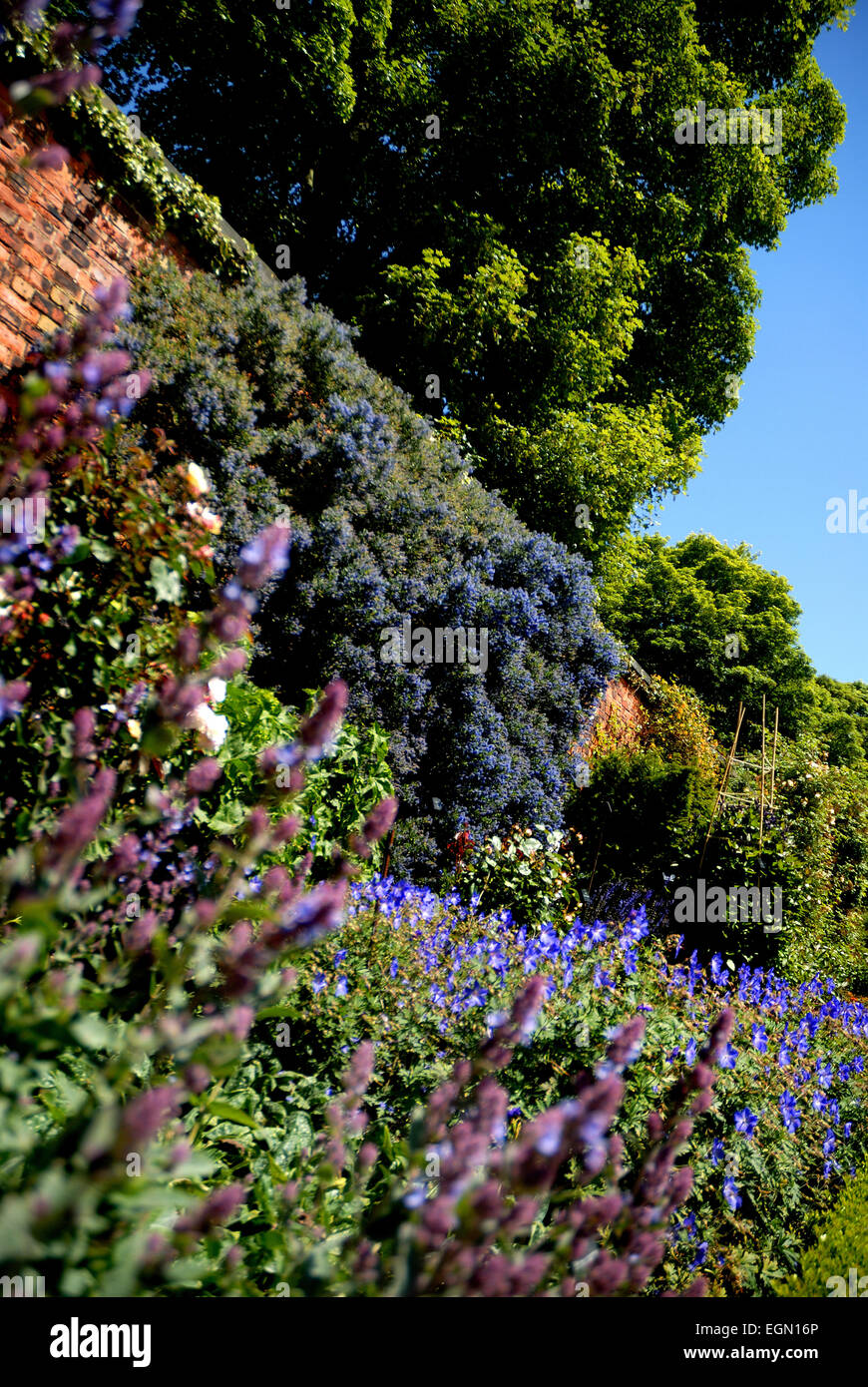 The Alnwick Garden Stock Photo - Alamy