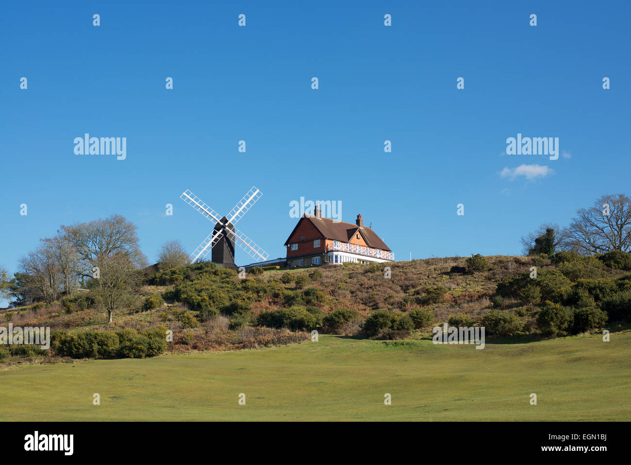 A blue anticyclonic sky with a windmill, Gorse (Ulex Europaeus ...