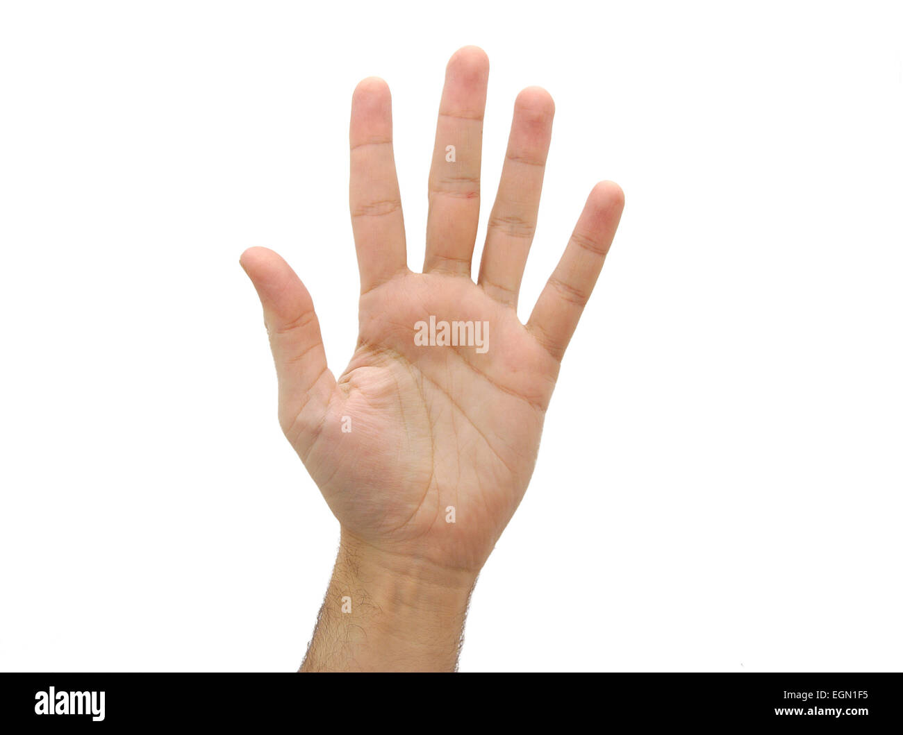 Caucasian open man hand. Number five gesture isolated on white background Stock Photo - Alamy