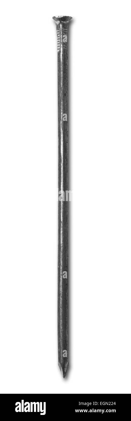 An iron nail isolated against white background. Vertical format black ...