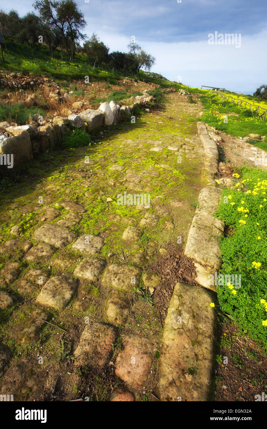 Tindari, decumanus maximus, the main street of the old city Stock Photo ...
