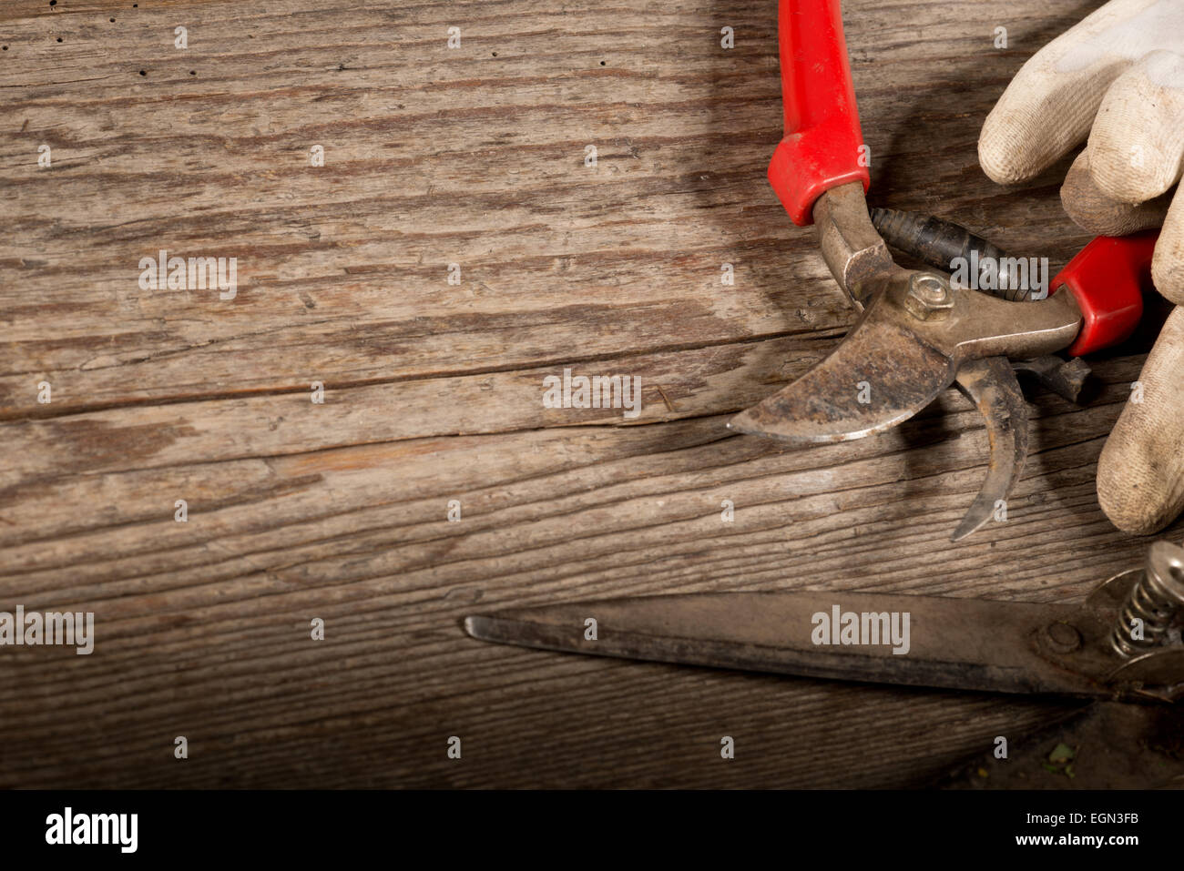 used prunning shears on the old wooden table Stock Photo - Alamy