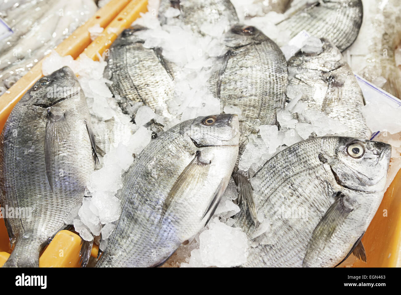 Fresh fish in a market, detail of an old fishmonger, healthy food, sea ...