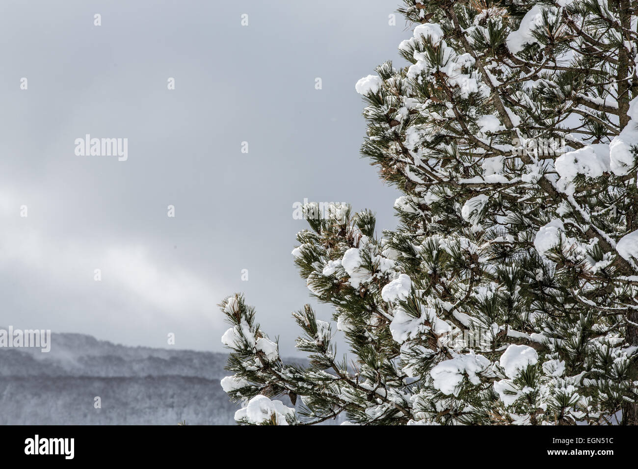Winter and snow in Abruzzo, Italy Stock Photo - Alamy