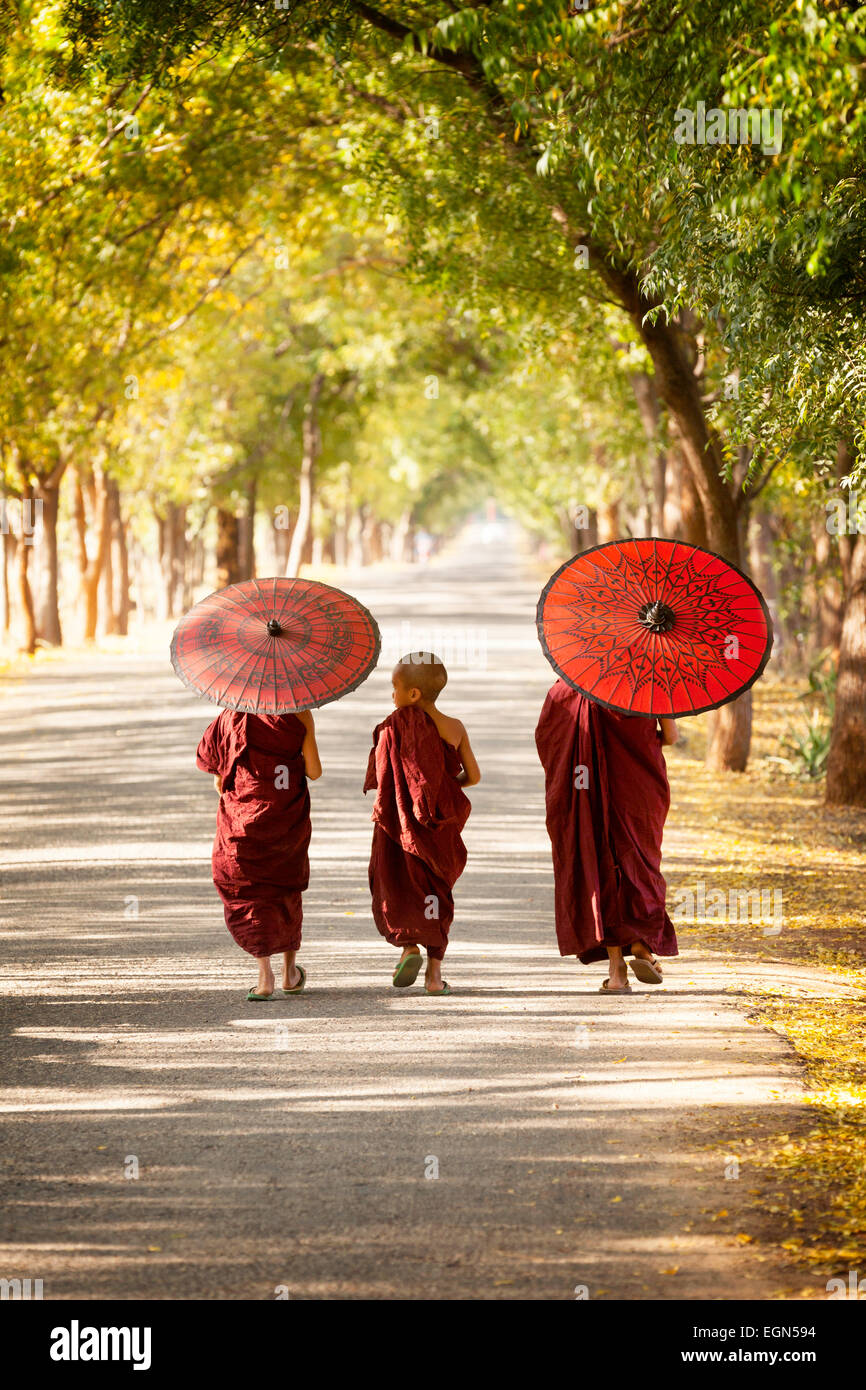 Three young monks seen from the back walking along the road to Mandalay ...