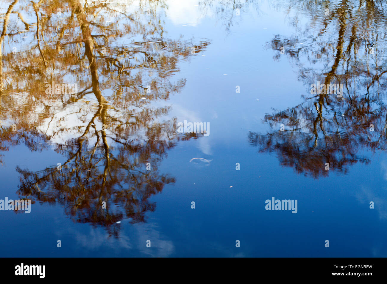 White and blue reflections hi-res stock photography and images - Alamy