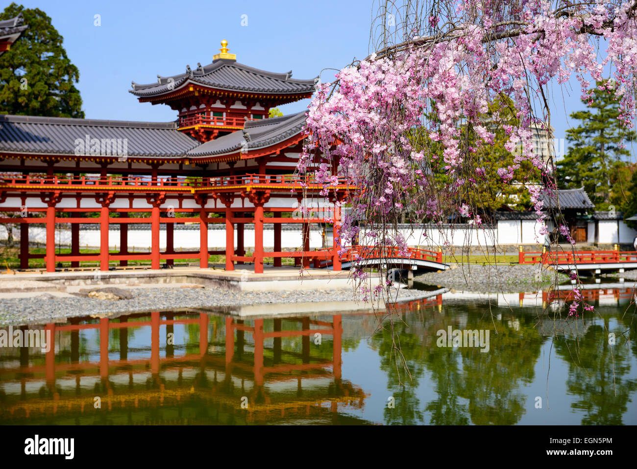 Kyoto, Japan at Byodo-in Temple Stock Photo - Alamy