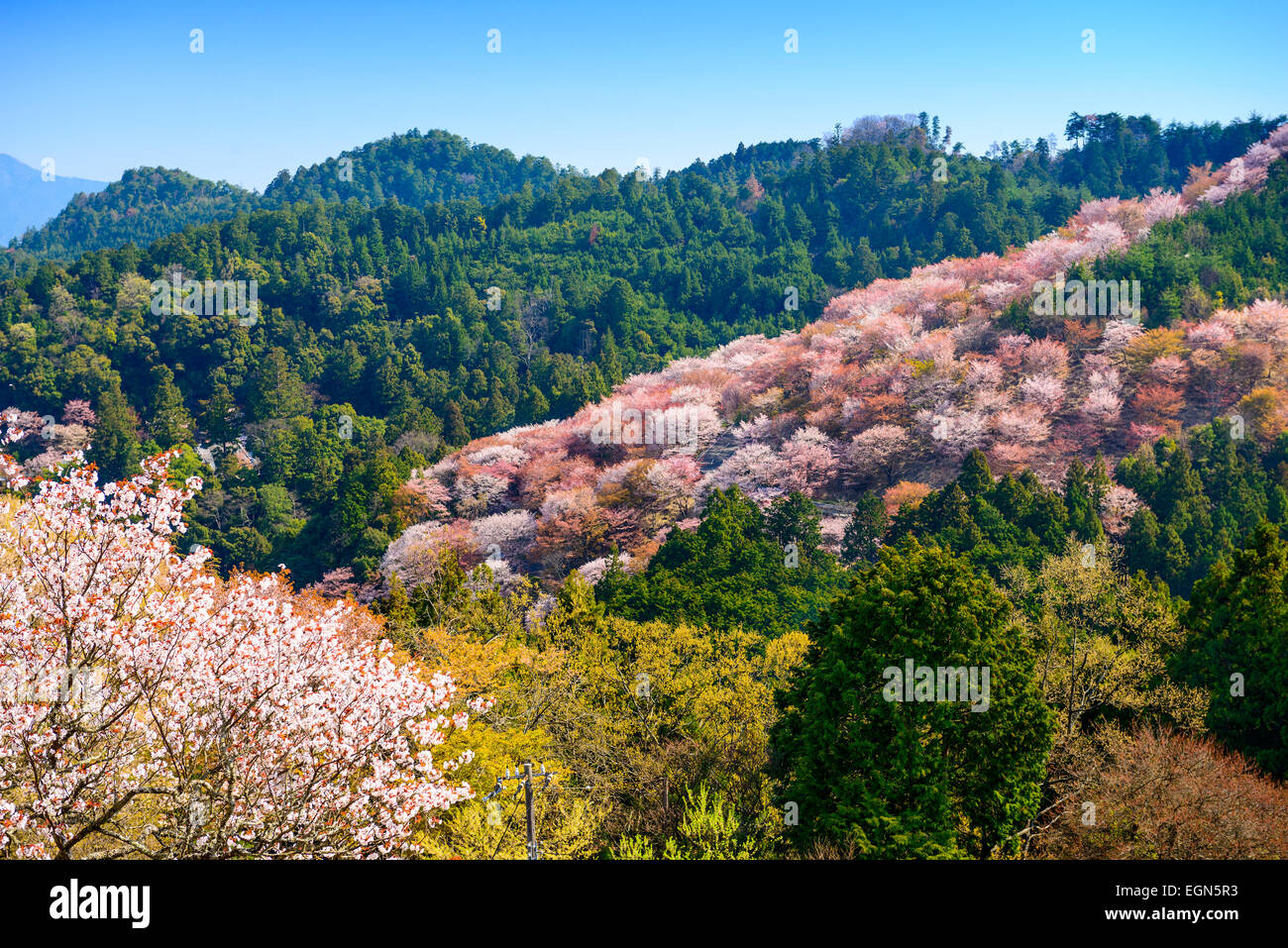 Yoshinoyama, Nara, Japan landscape in the spring Stock Photo - Alamy