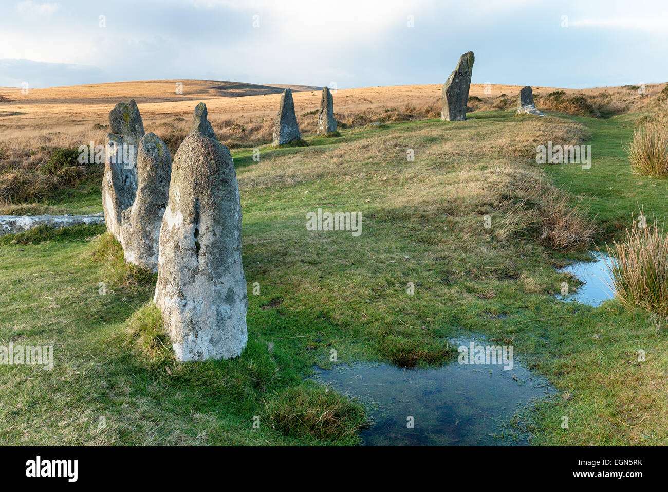 Standing stones at the Scorhill stone circle on Dartmoor National Park ...