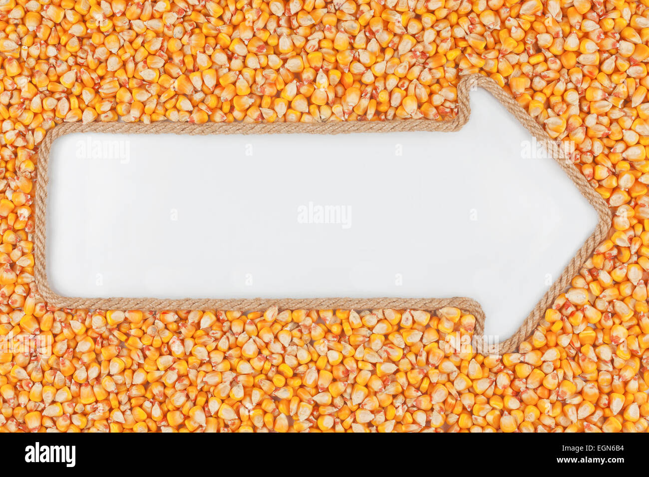 Arrow made of rope with corn with a white background and with place for ...