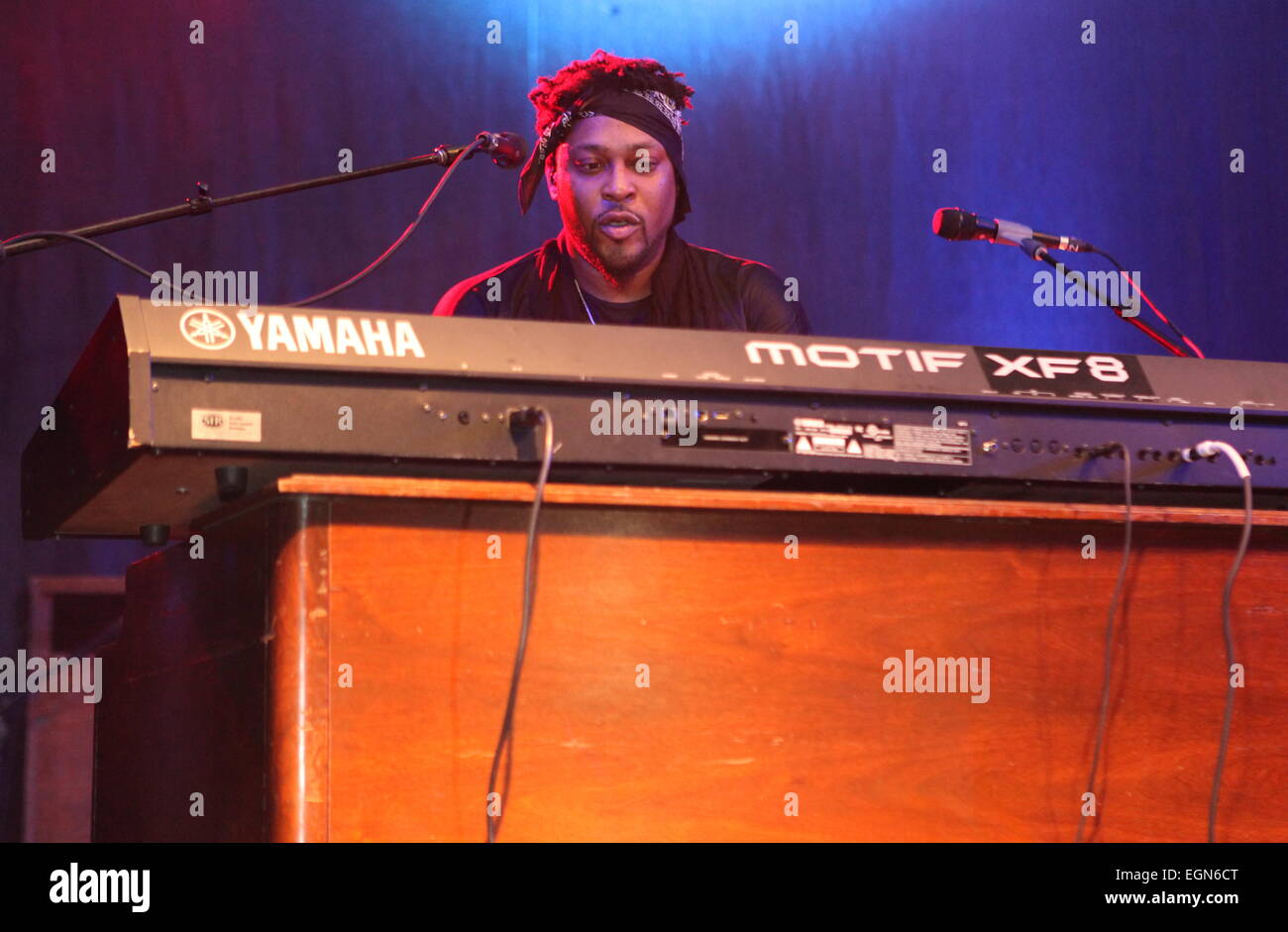 AfroPunk Festival 2014 at Commodore Barry Park - Day 2 - Performances ...