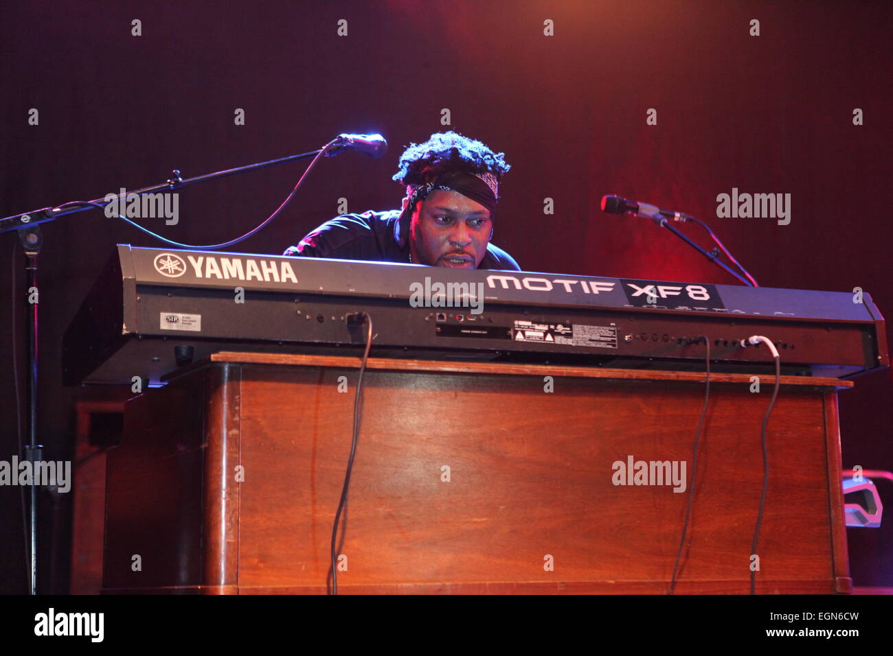 AfroPunk Festival 2014 at Commodore Barry Park - Day 2 - Performances ...