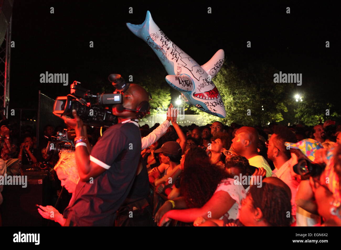 AfroPunk Festival 2014 at Commodore Barry Park - Day 2 - Performances ...