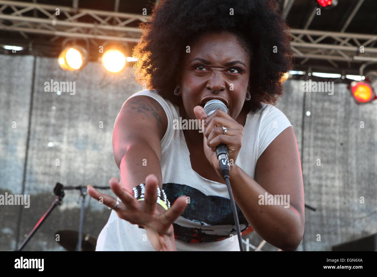 AfroPunk Festival 2014 at Commodore Barry Park - Day 2 - Performances ...