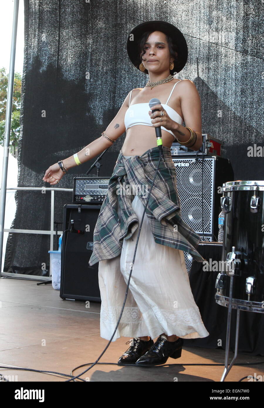 AfroPunk Festival 2014 at Commodore Barry Park - Day 2 - Performances ...