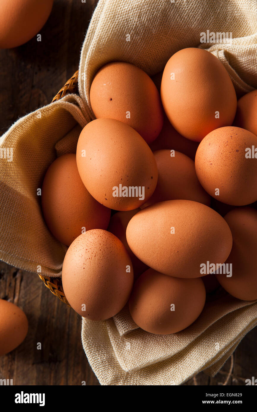 Organic brown egg hi-res stock photography and images - Alamy