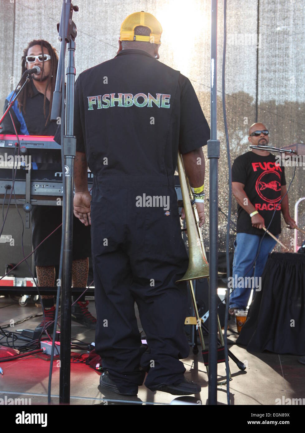 AfroPunk Festival 2014 at Commodore Barry Park - Day 2 - Performances ...