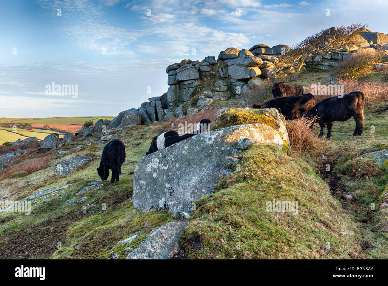 Moorland nature trail hi-res stock photography and images - Alamy
