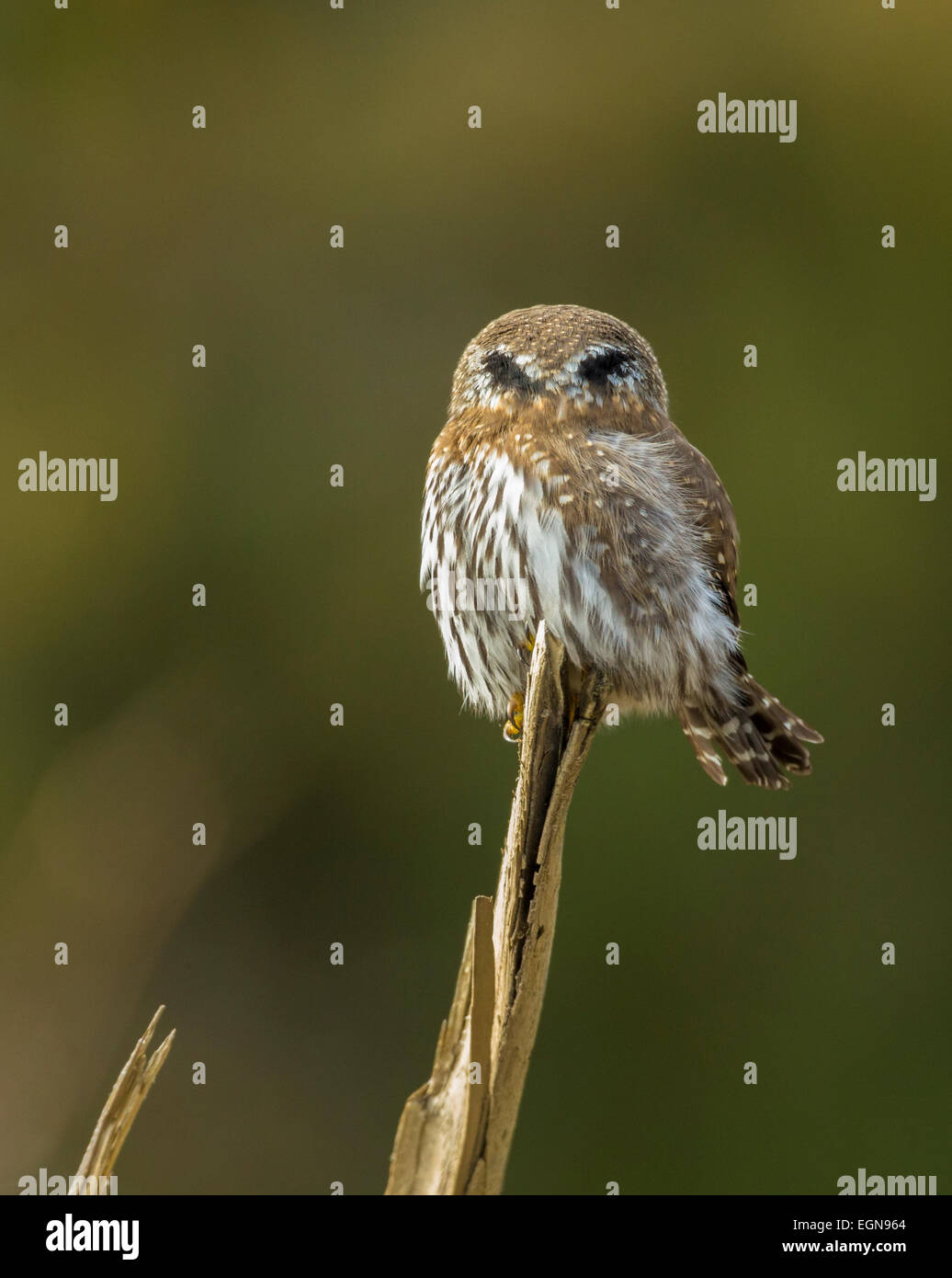 Territorial view hi-res stock photography and images - Alamy