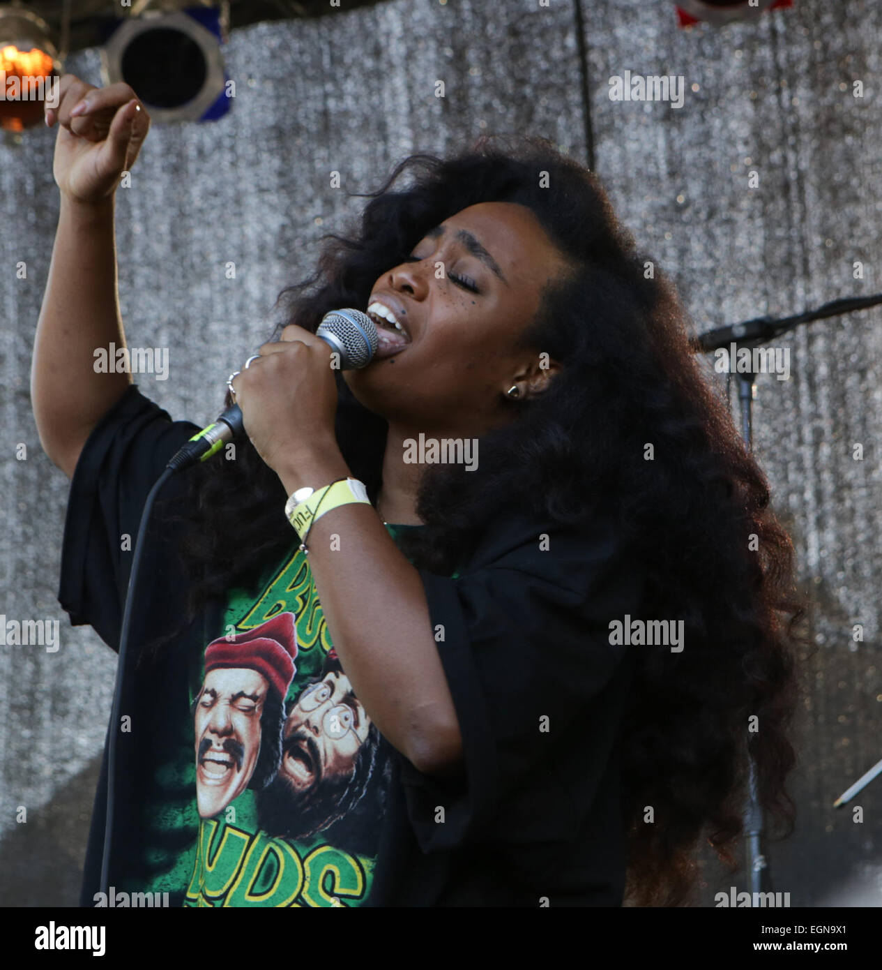 AfroPunk Festival 2014 at Commodore Barry Park - Day 2 - Performances ...