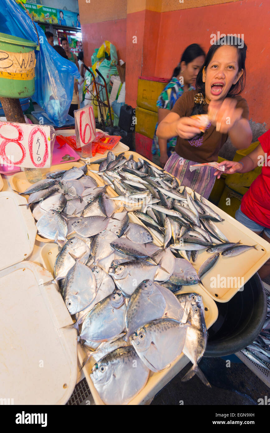 South East Asia, Philippines, The Visayas, Cebu, Dumaguete, fish for ...