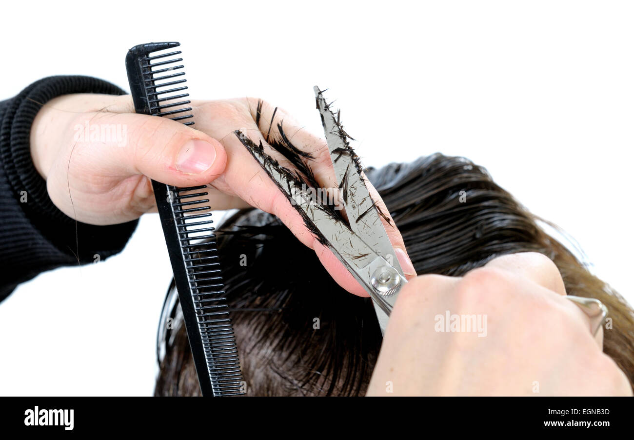 Cutting hair on adult woman of Caucasian origin, photo on white ...
