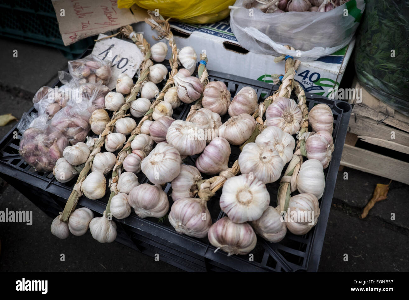 Garlic for sale at Polish Market Stock Photo - Alamy