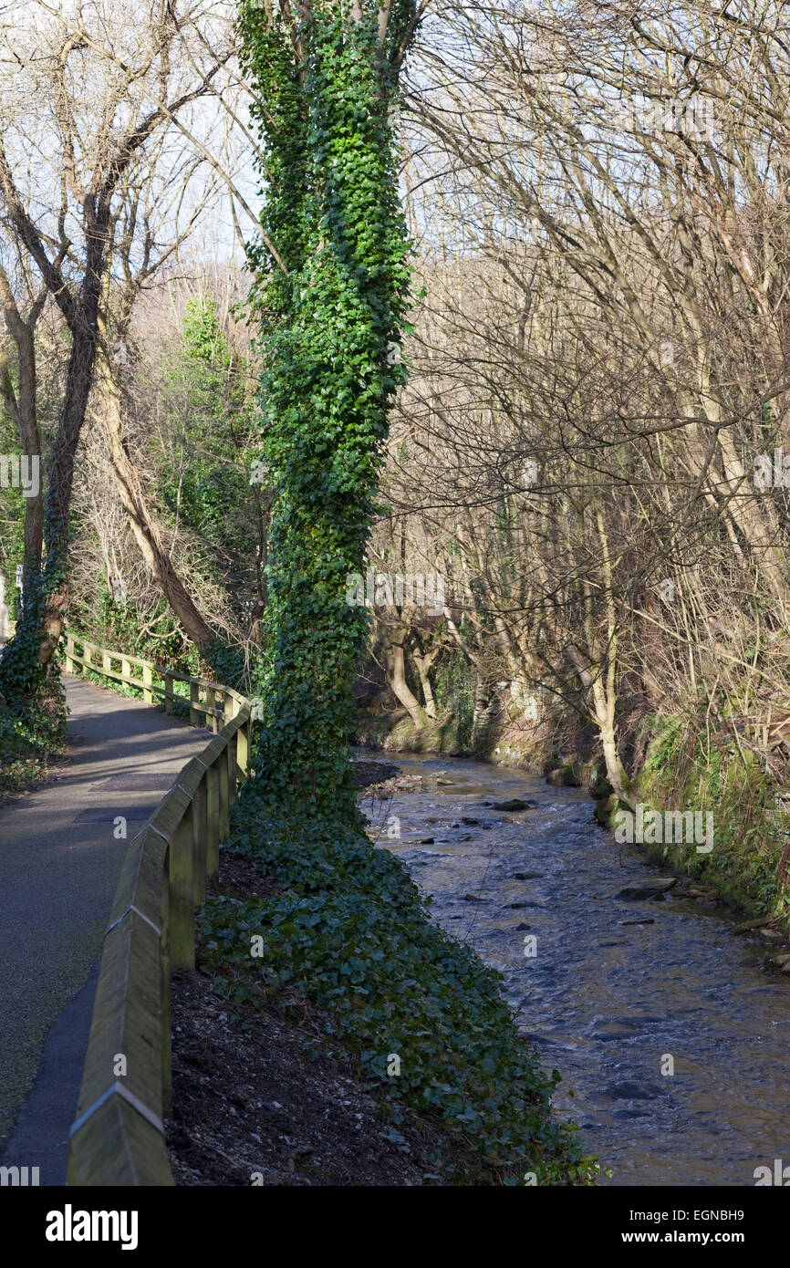 Hebble trail hi-res stock photography and images - Alamy