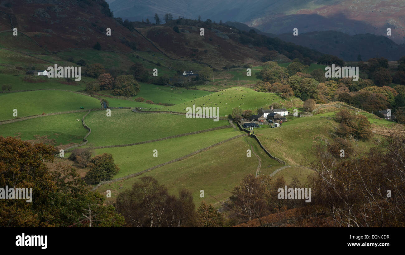 Birk Howe Farm Little Langdale Cumbria Stock Photo - Alamy
