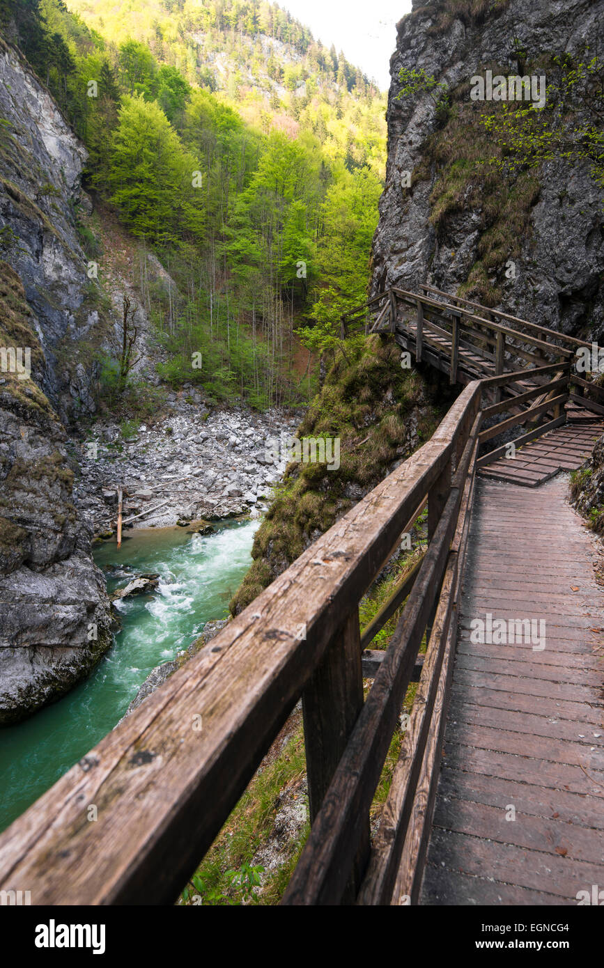 In the Lammerklamm gorge, Lammeröfen, Lammer River, Tennen Mountains ...