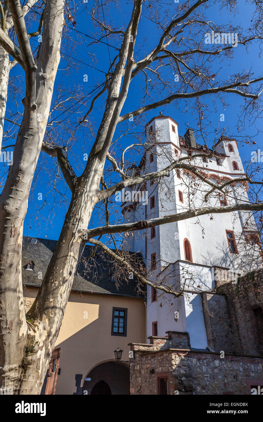 Electoral Castle of Eltville, Rheingau, Hesse, Germany Stock Photo - Alamy