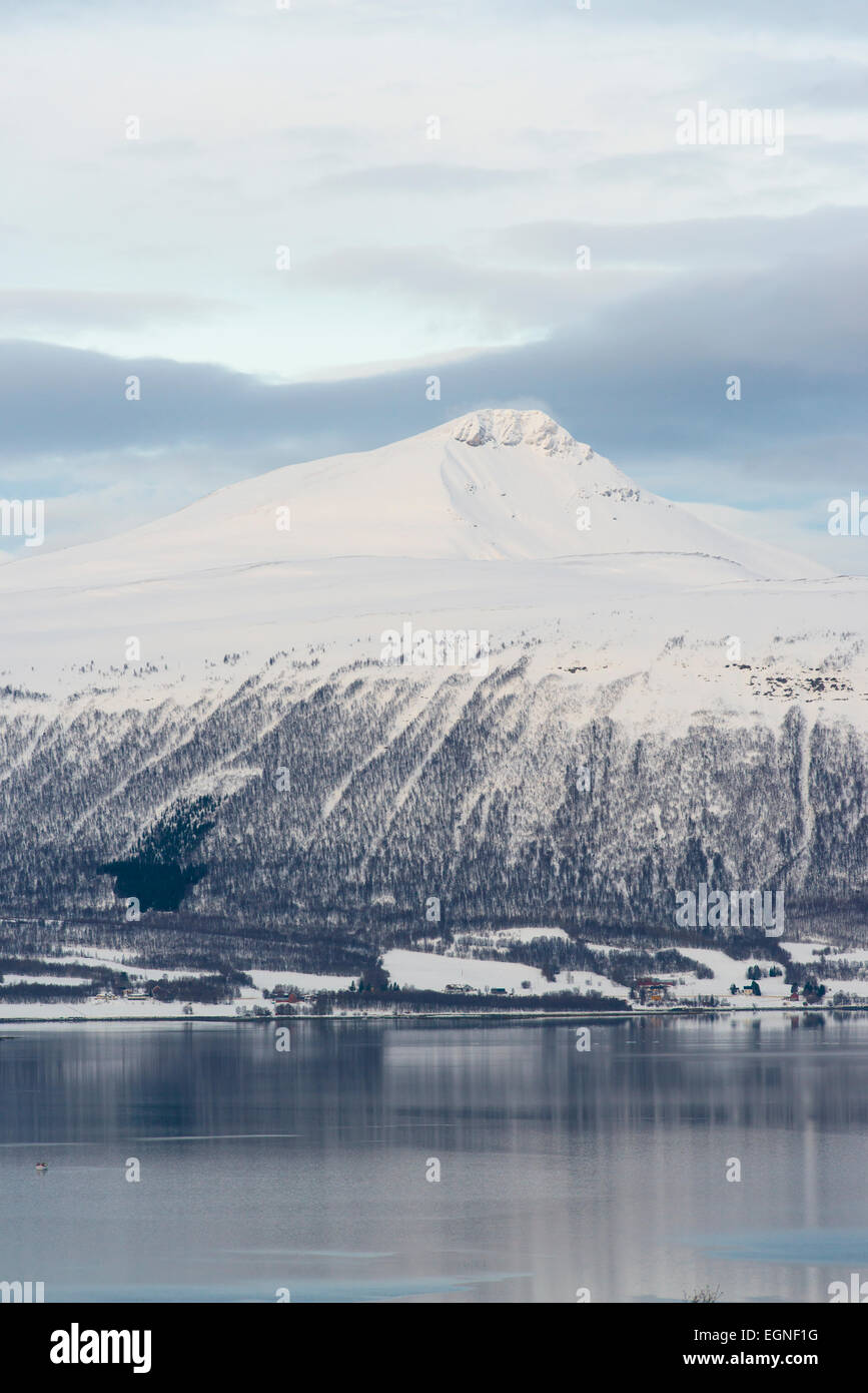 Balsfjord hi-res stock photography and images - Alamy