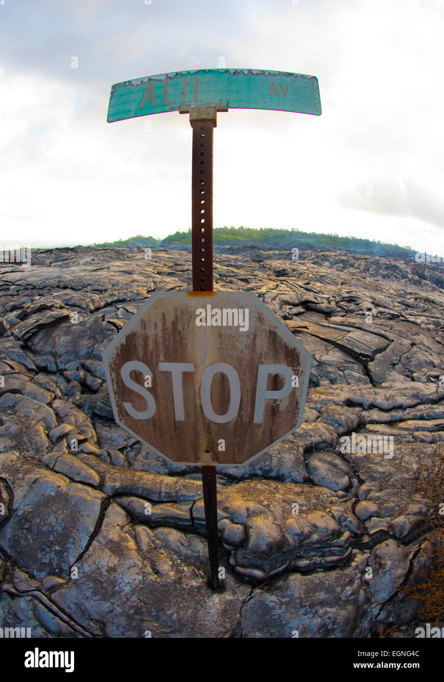 A stop sign that has been swallowed by lava in the Royal Gardens ...