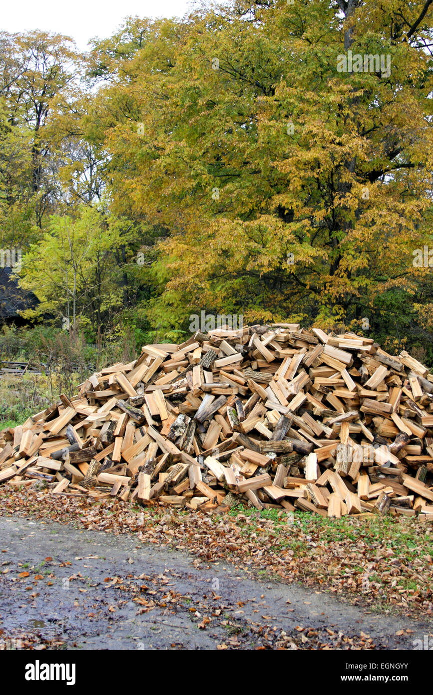 Fire wood in a considerable quantity Stock Photo - Alamy