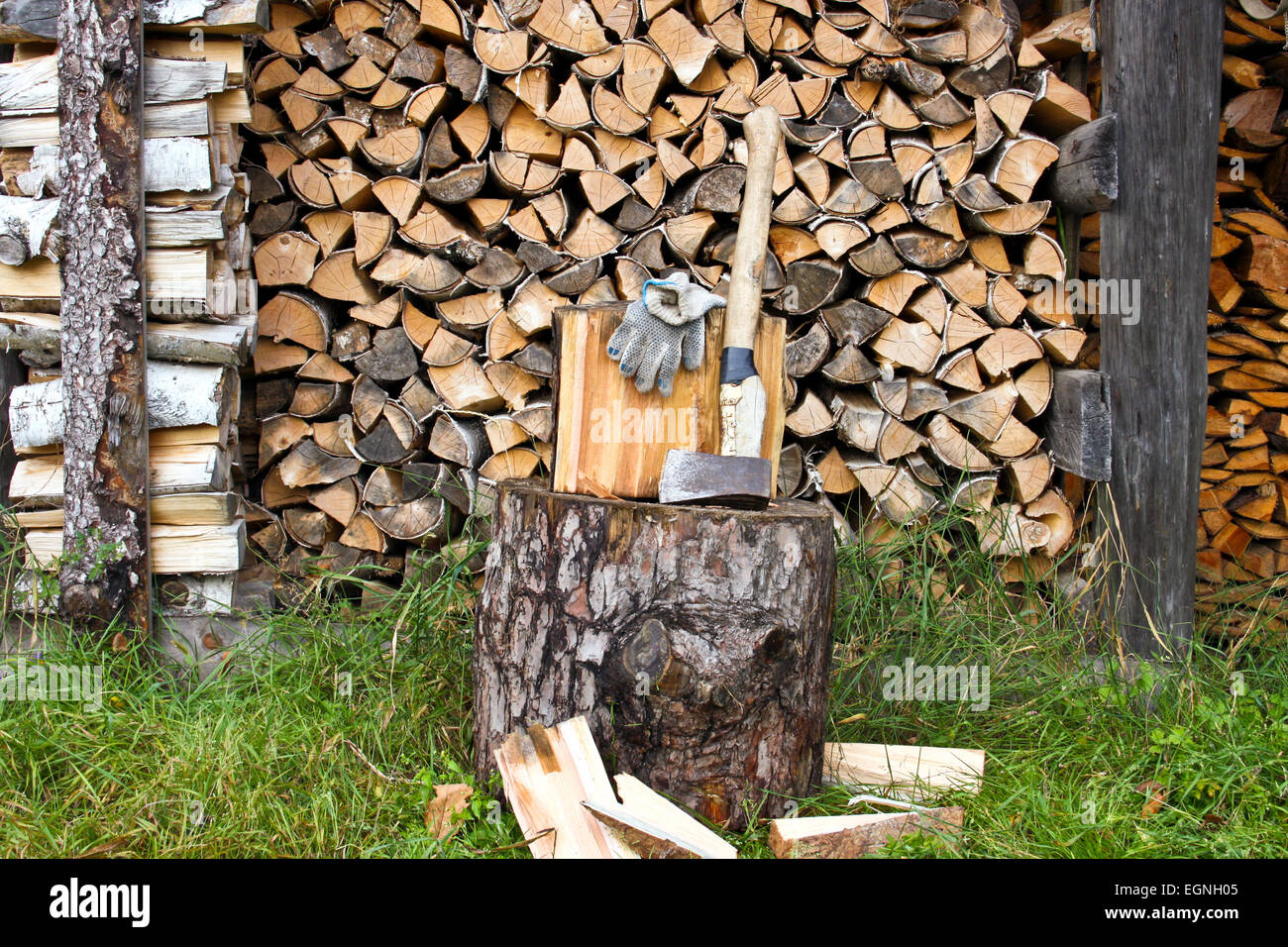 Preparation of fire wood - work for strong people Stock Photo - Alamy