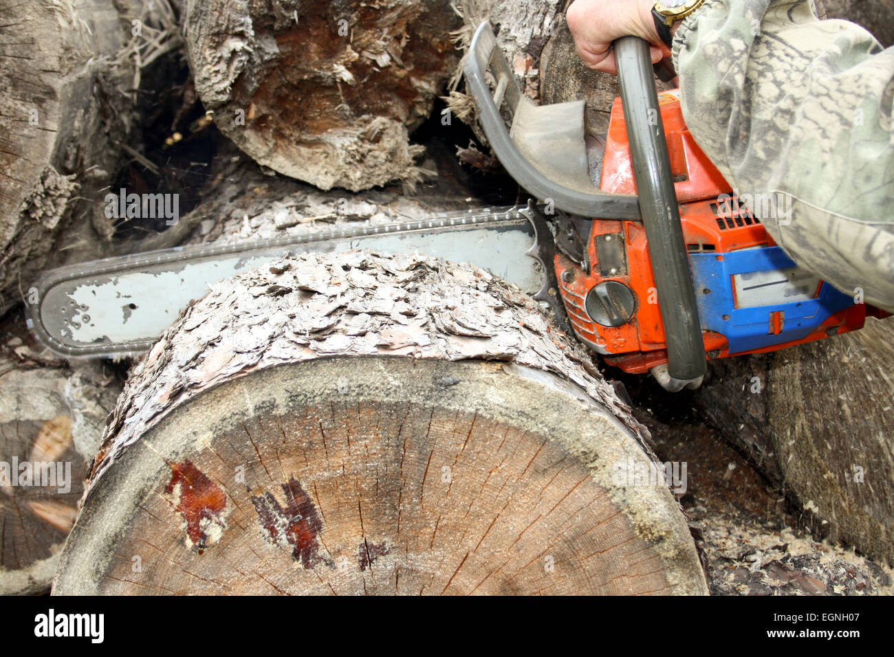 The sharp saw quickly cuts wood Stock Photo - Alamy