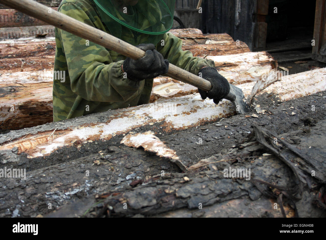 Industrial equipment processing timber material hi-res stock ...