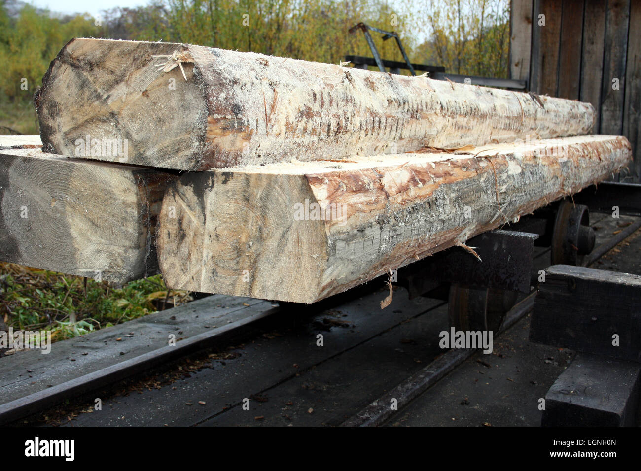 processed tree trunk - building material Stock Photo - Alamy