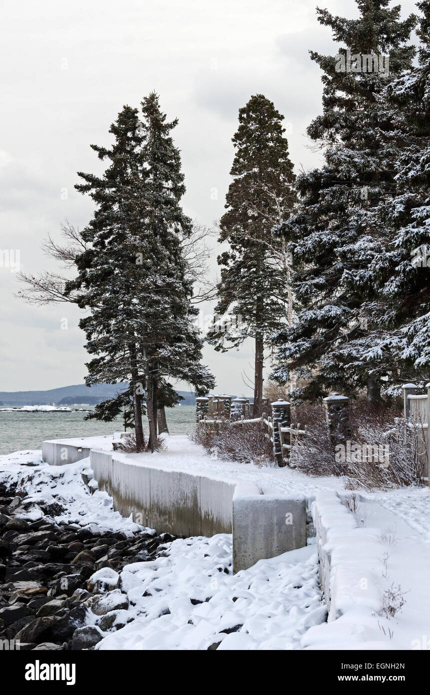 Reef point bar harbor hi-res stock photography and images - Alamy