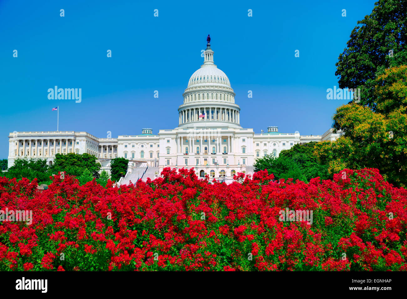 United states capitol with spring flowers washington dc hi-res stock ...