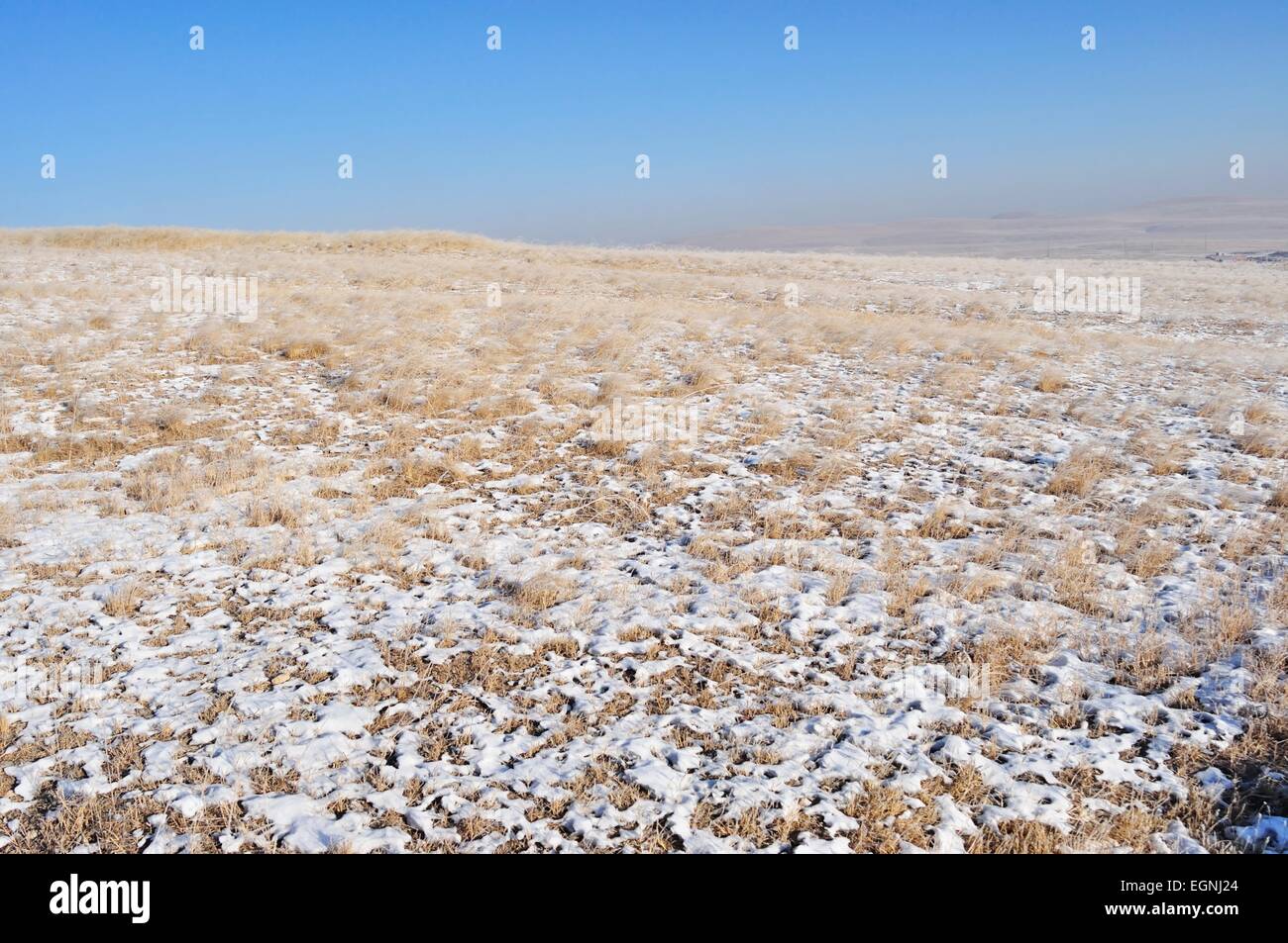 grassland of Manzhouli(manchuria), Hulunbuir, Inner Mongolia Autonomous ...