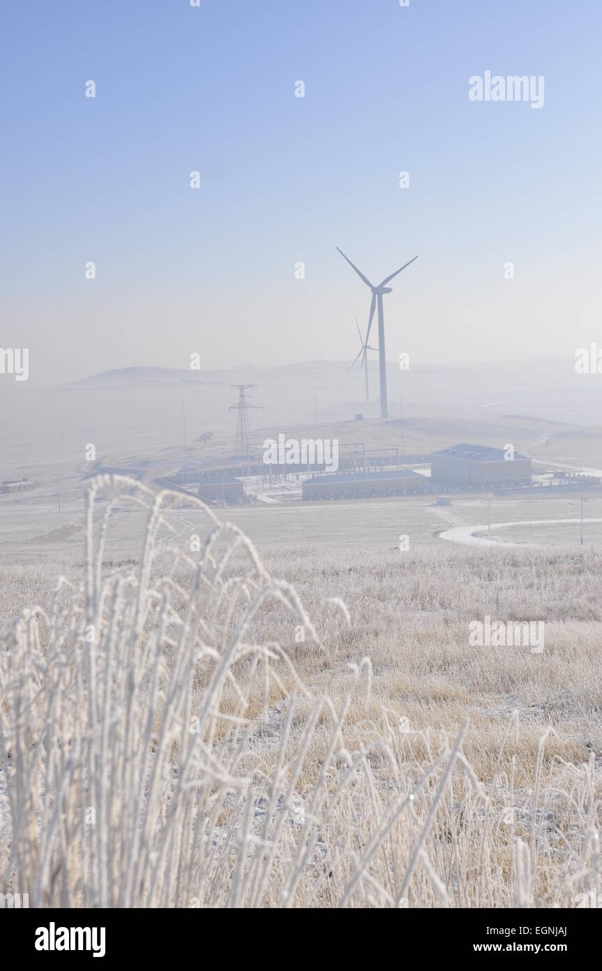 grassland in Manzhouli(manchuria), Hulunbuir, Inner Mongolia Autonomous ...