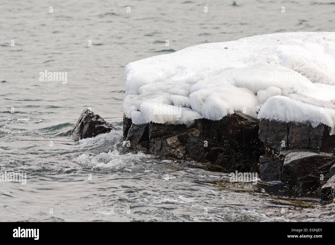 A thick crust of sea ice tops a boulder on the coast of Maine Stock ...