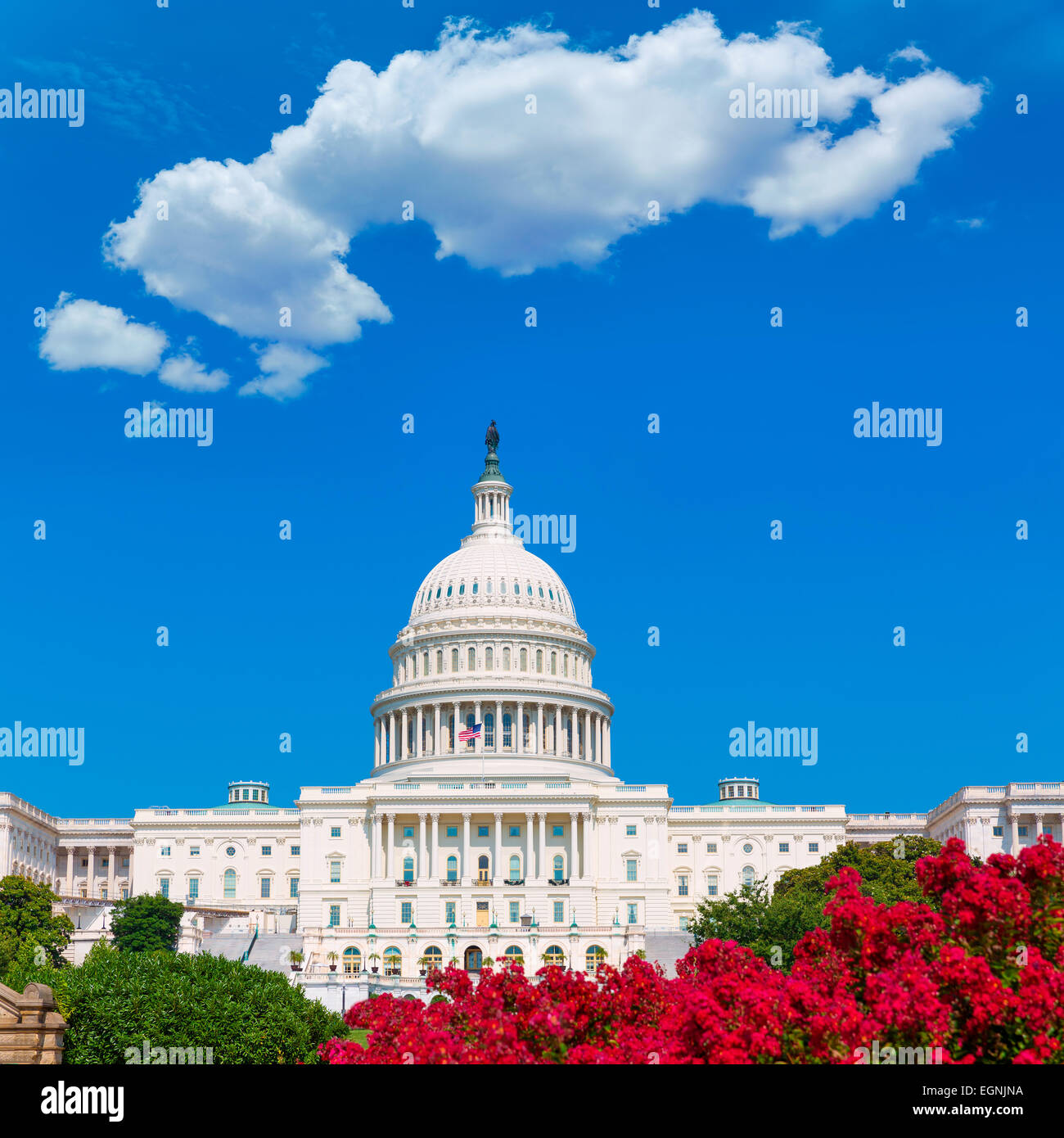 United states capitol with spring flowers washington dc hi-res stock ...