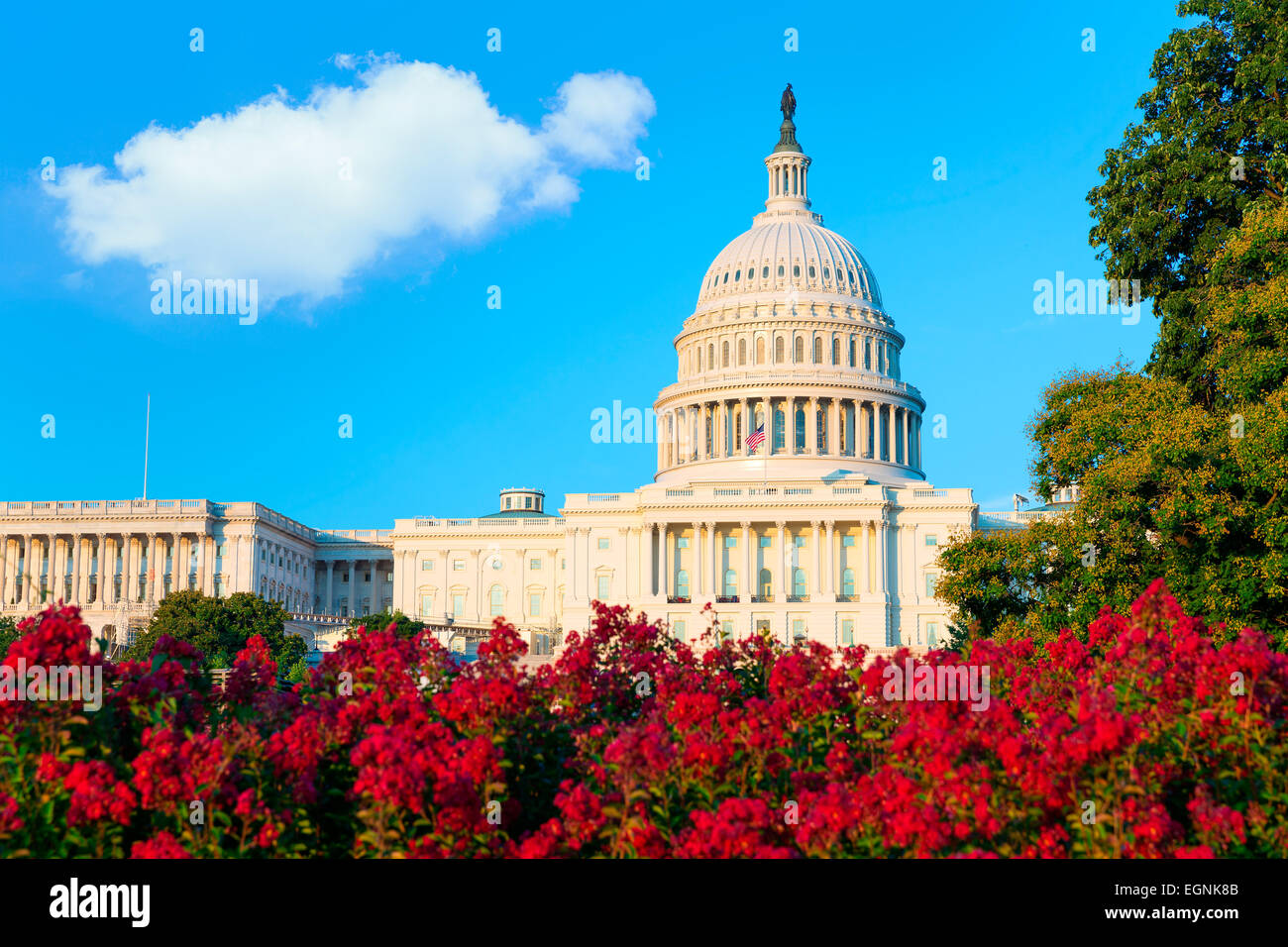 Capitol building Washington DC sunlight USA US congress Stock Photo - Alamy