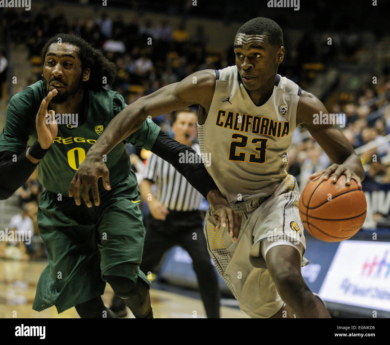 Jabari bird hi-res stock photography and images - Alamy