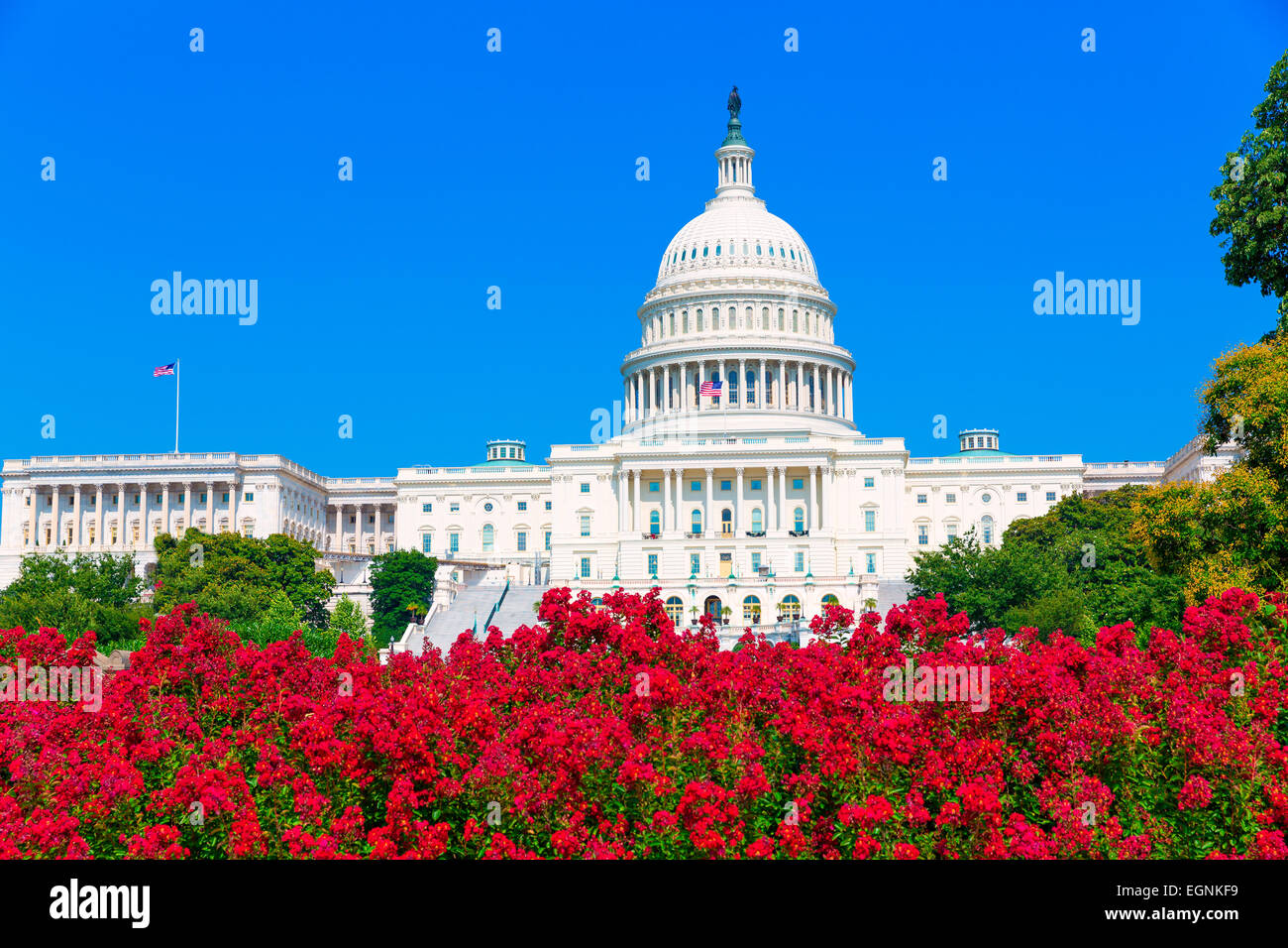 United states capital building flowers hi-res stock photography and ...